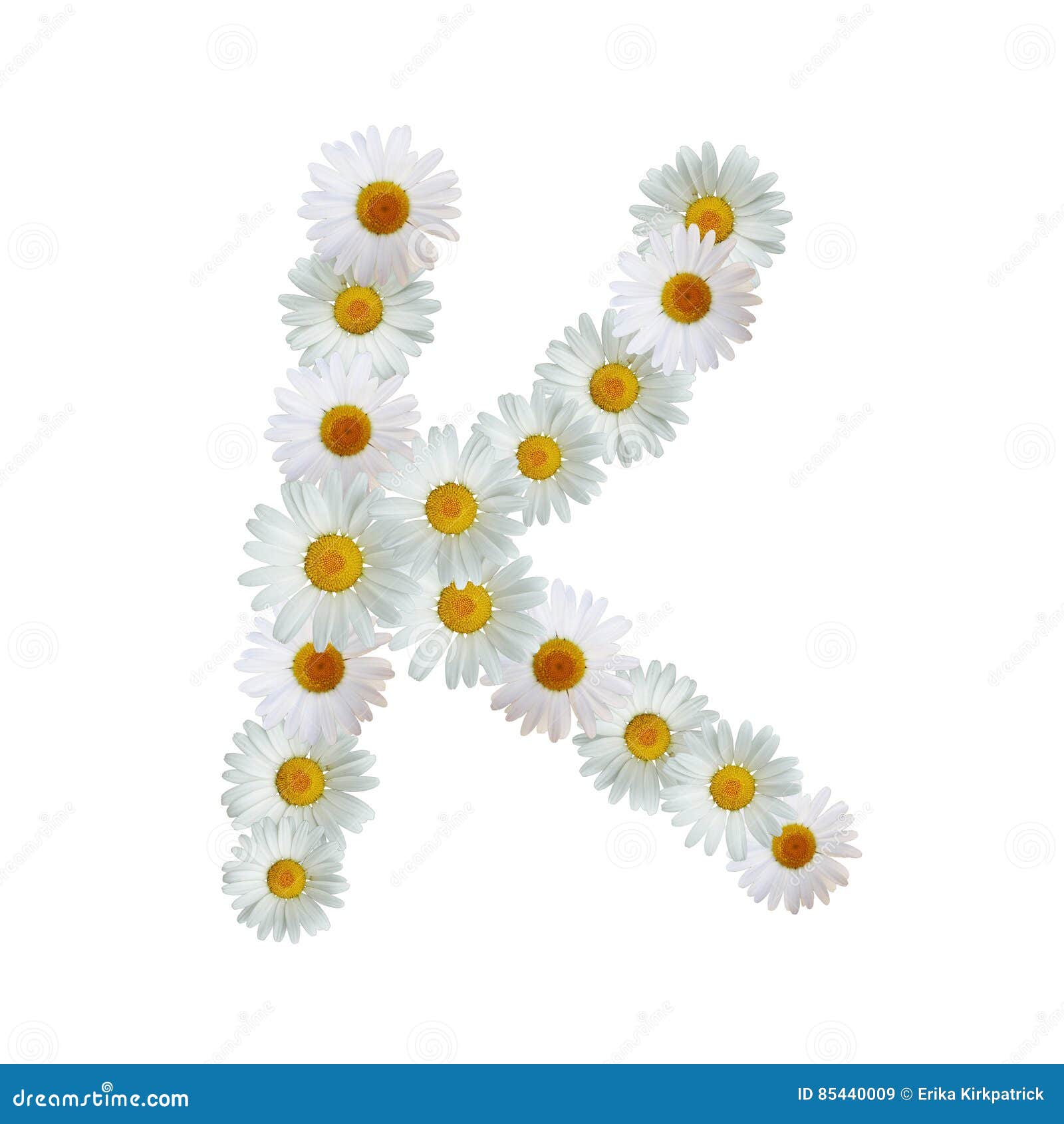 Daisy Letter K stock illustration. Illustration of leaf - 85440009
