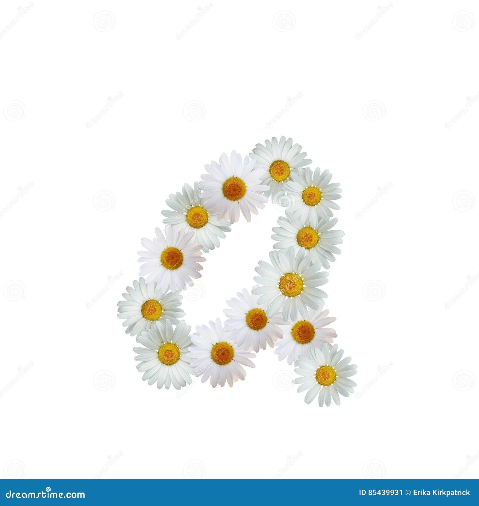 Daisy Letter a stock illustration. Illustration of name - 85439931