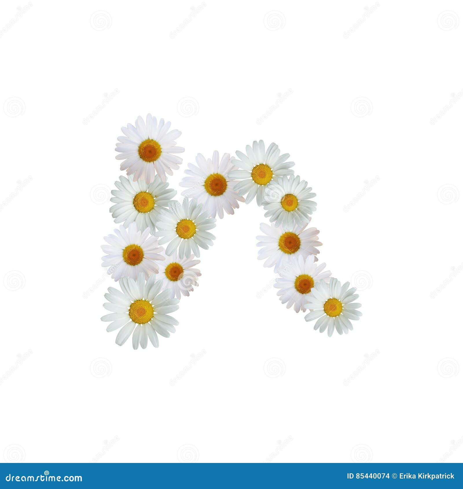 Daisy Letter N illustration stock. Illustration du fille - 85440074