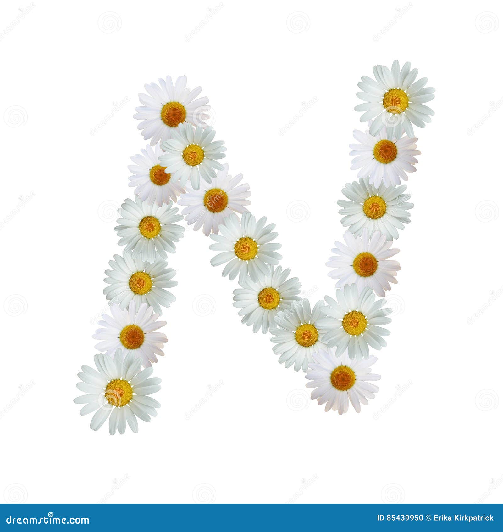 Daisy Letter N stock illustration. Illustration of floral - 85439950