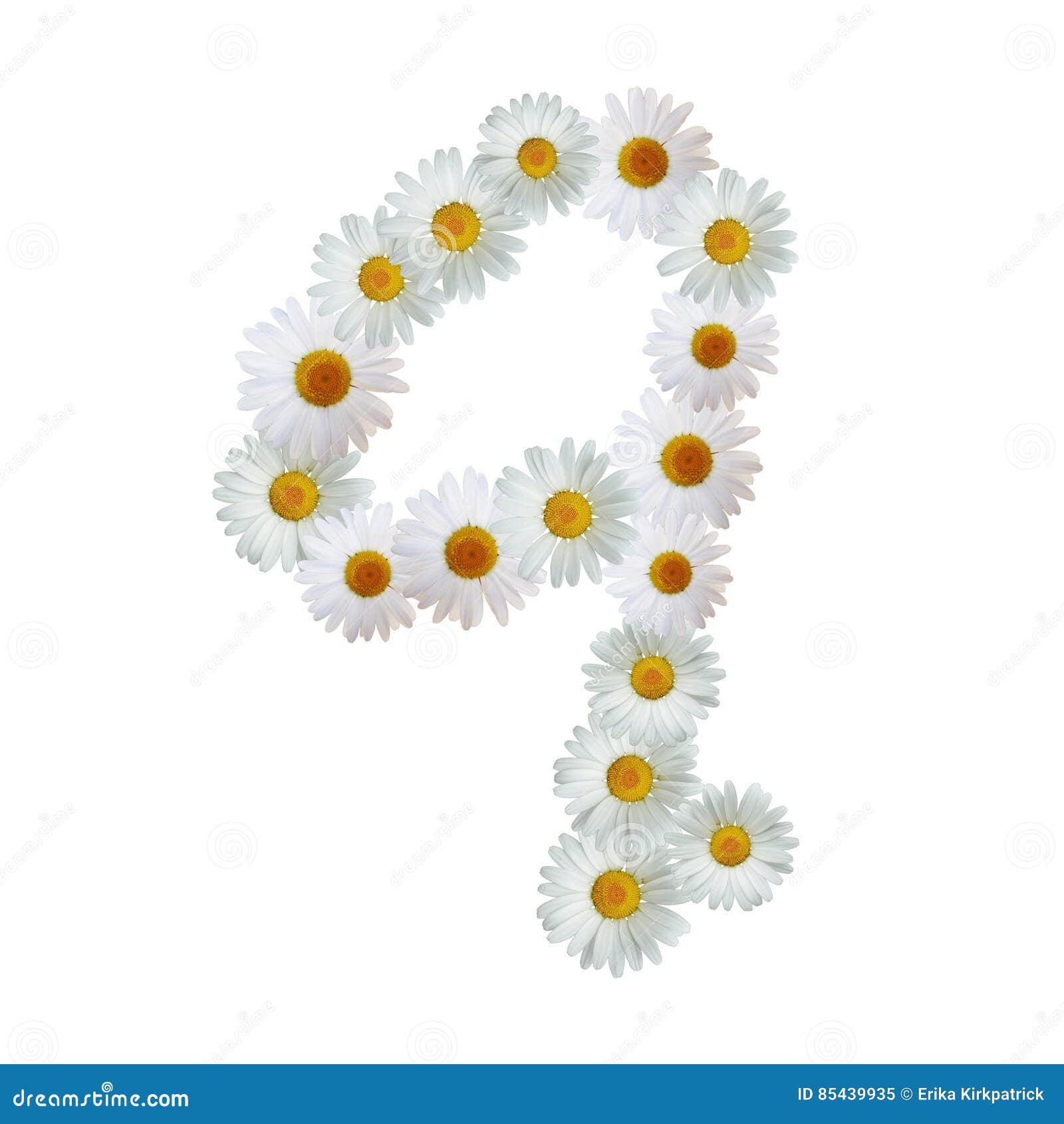 Daisy Letter Q ilustração stock. Ilustração de romântico - 85439935