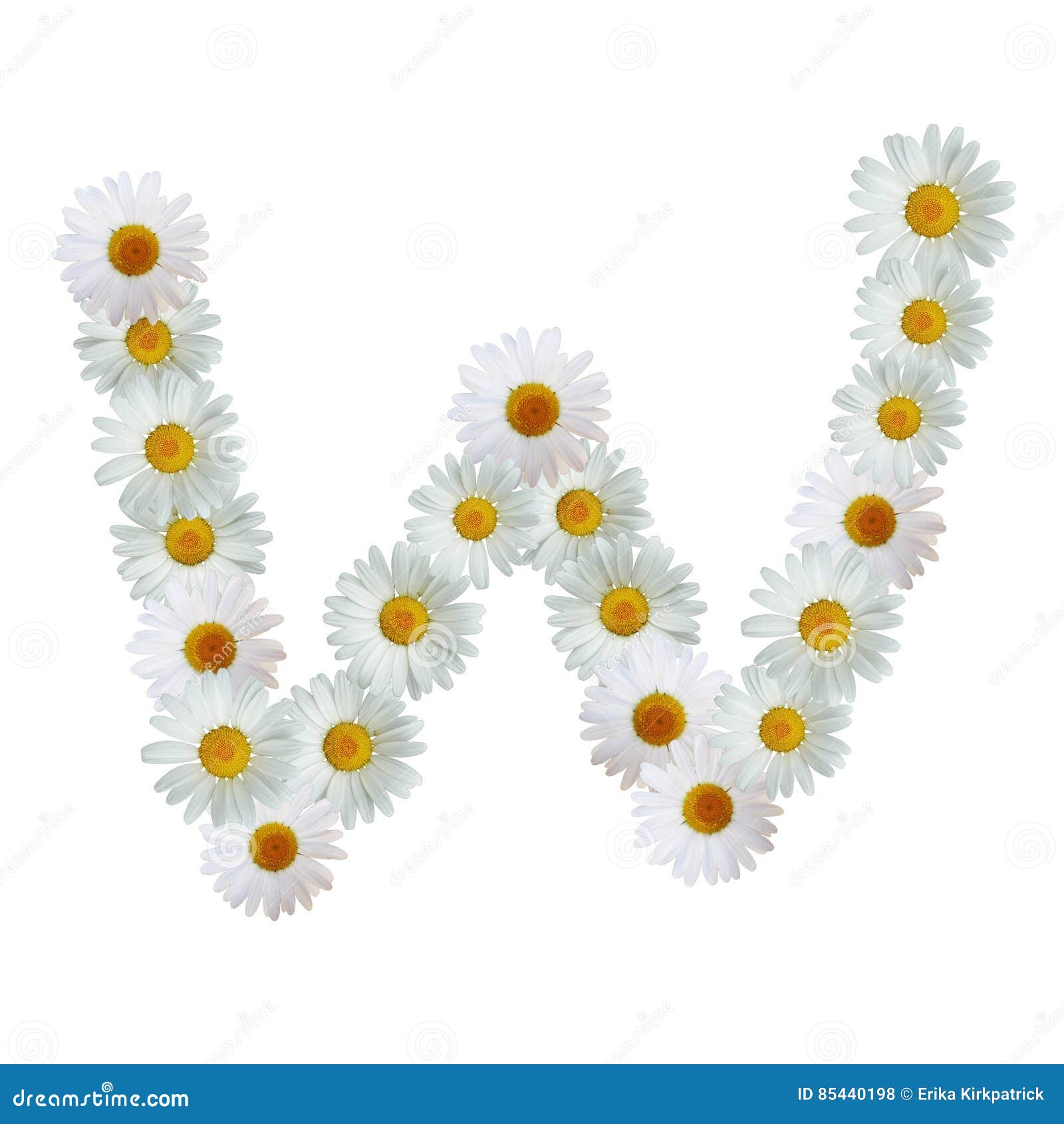 Daisy Letter W illustration stock. Illustration du fille - 85440198