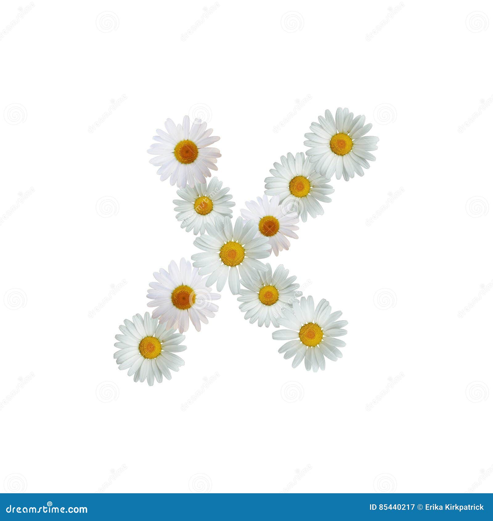 Daisy Letter X stock de ilustración. Ilustración de resorte - 85440217