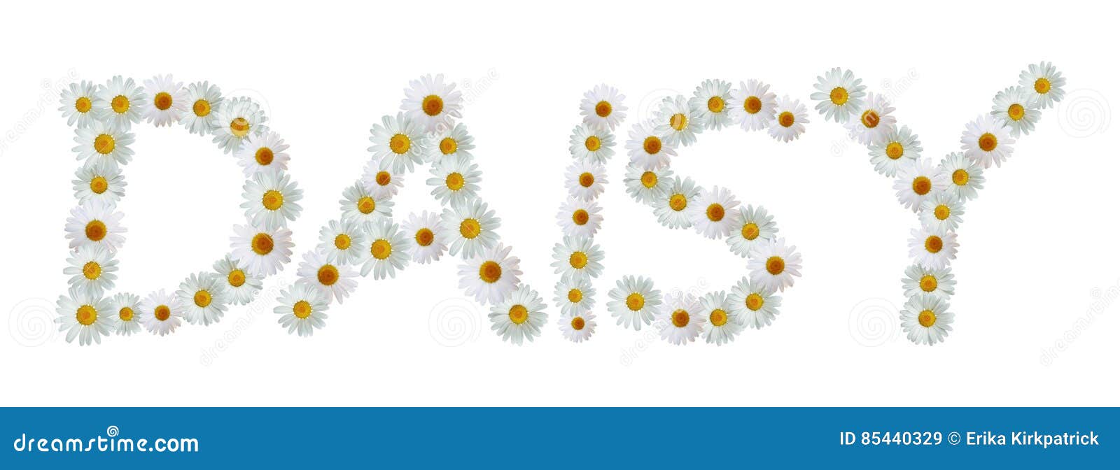 Daisy Name ilustração stock. Ilustração de bonito, menina - 85440329