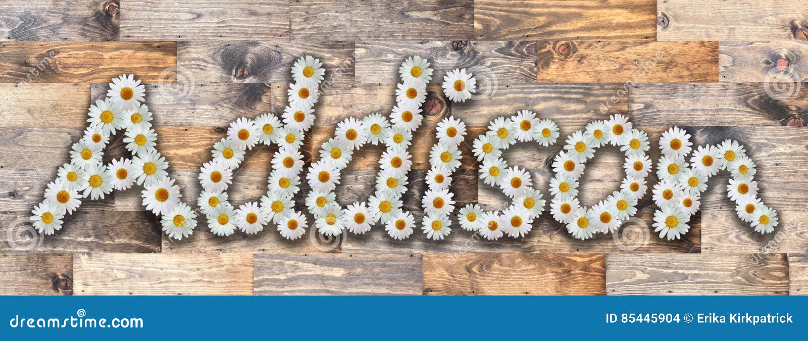 Daisy Name Addison Wood Background Stock Illustrations – 66 Daisy Name ...