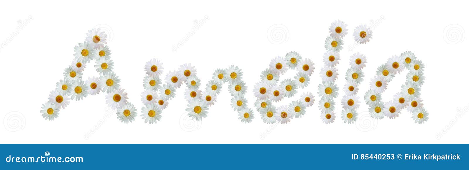 Name Amelia In Various Retro Graphic Design Elements, Set Of Vector ...