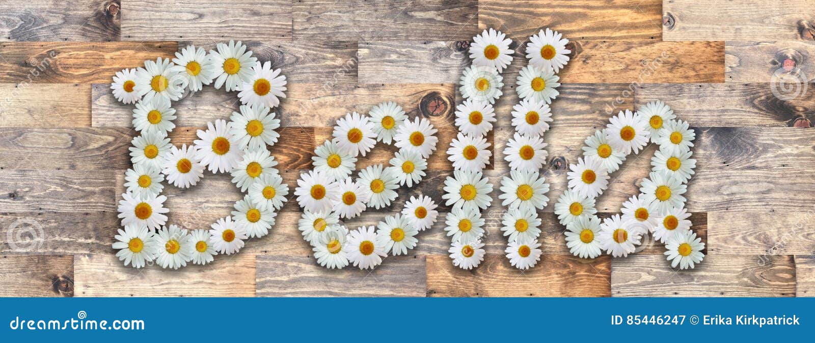Daisy Name Bella Wood Background Stock Illustration - Illustration of ...