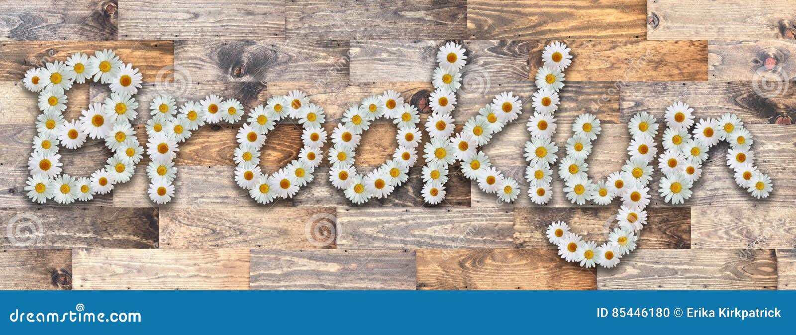 Daisy Name Brooklyn Wood Background Stock de ilustración - Ilustración ...
