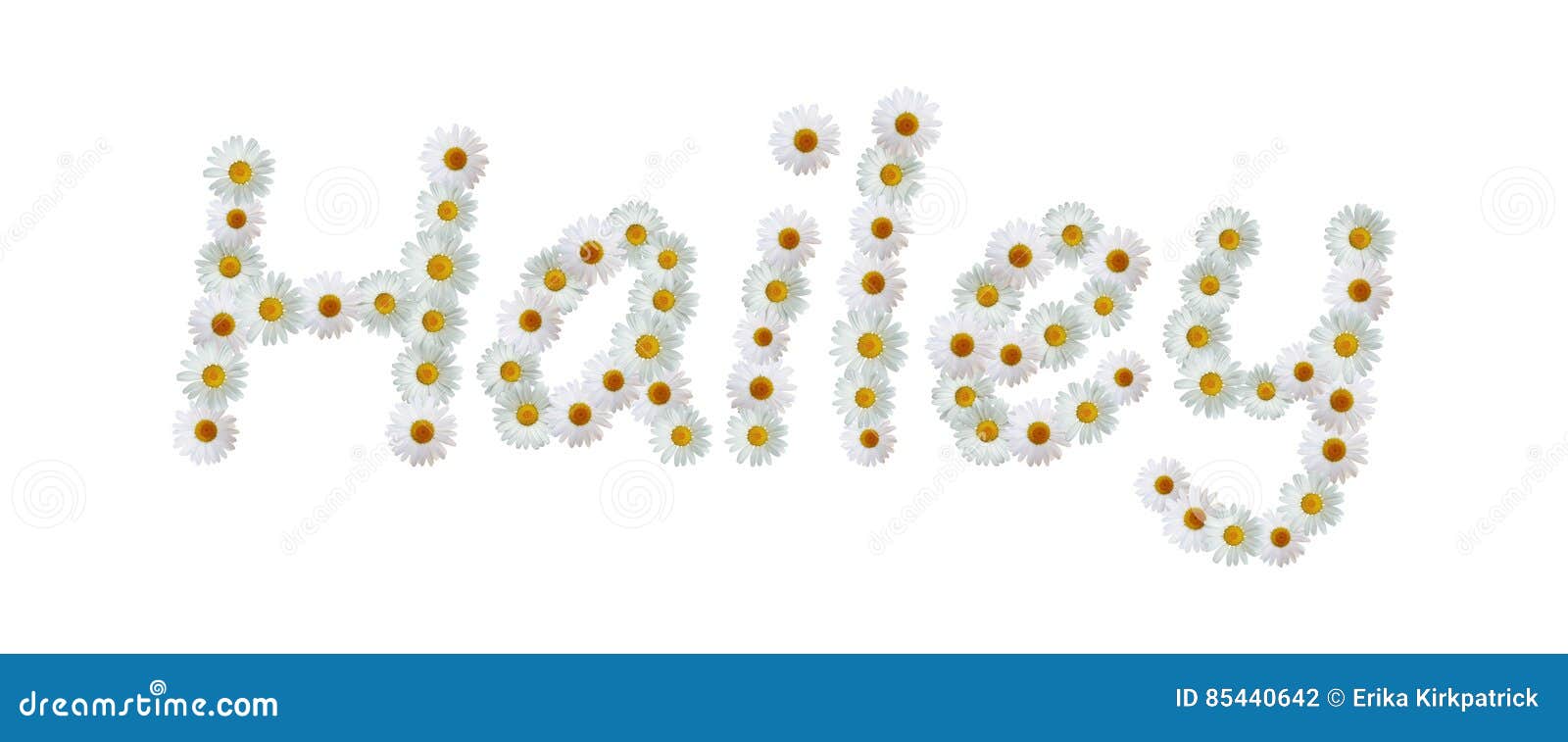 Daisy Name Hailey stock de ilustración. Ilustración de flor - 85440642