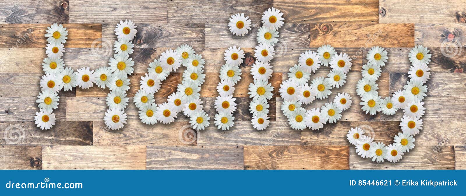 Daisy Name Hailey Wood Background Stock de ilustración - Ilustración de ...