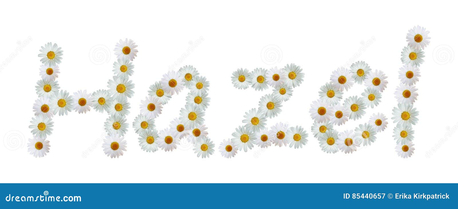 Daisy Name Hazel stock illustration. Illustration of banner - 85440657