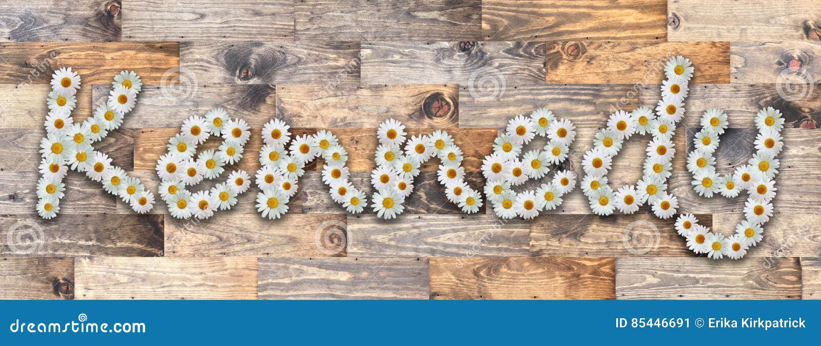 Daisy Name Kennedy Wood Background Stock Illustratie - Illustratie ...
