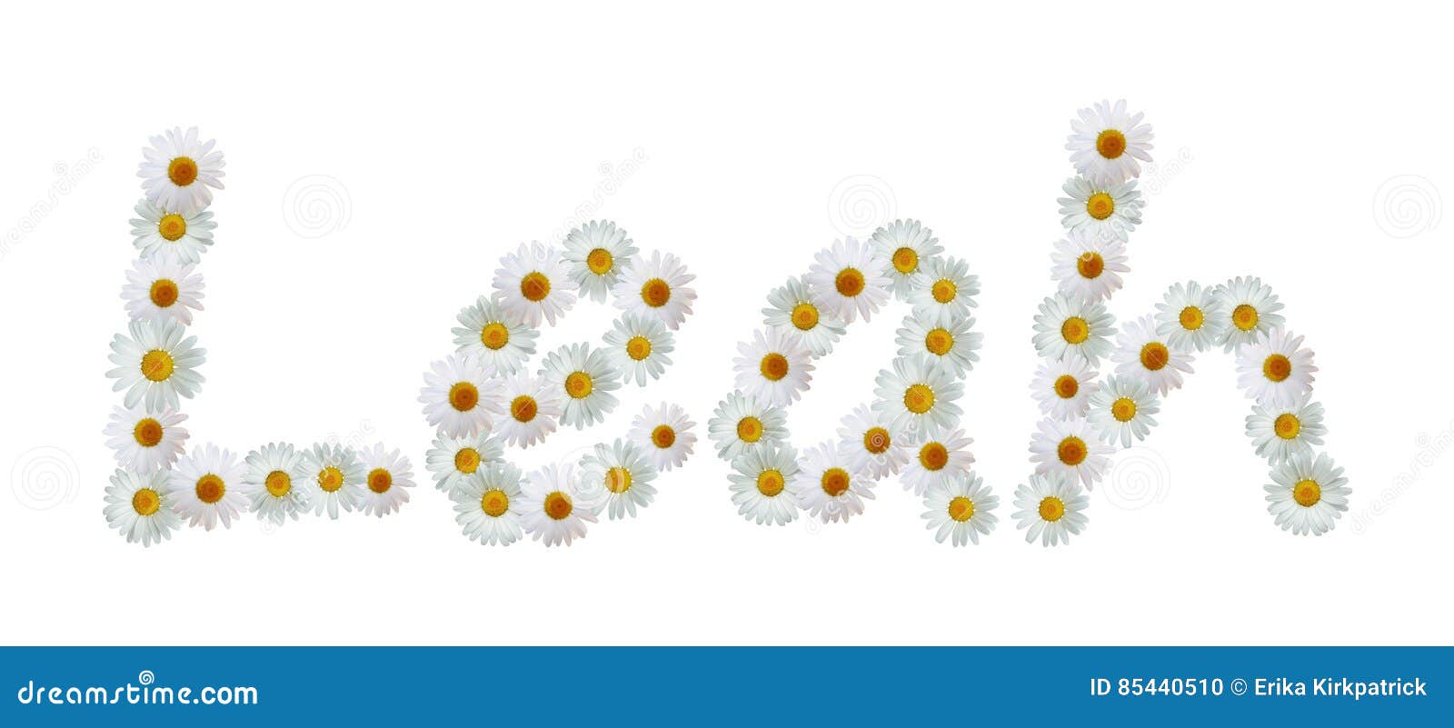 Daisy Name Leah Wood Background Royalty-Free Stock Photo ...