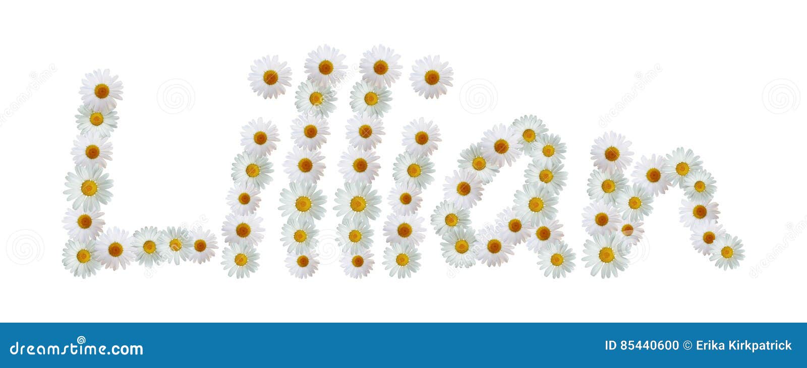 Daisy Name Lillian stock illustration. Illustration of daisy - 85440600