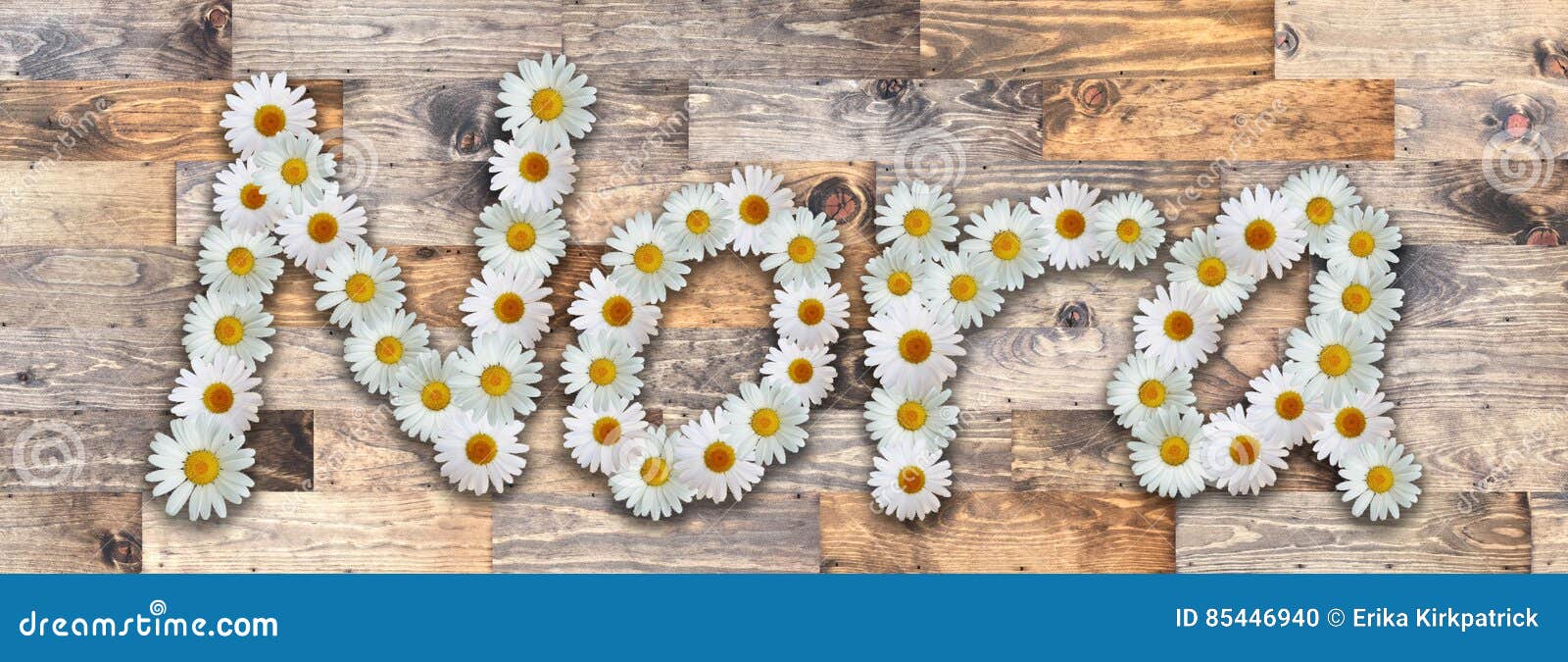 Daisy Name Nora Wood Background Stock de ilustración - Ilustración de ...