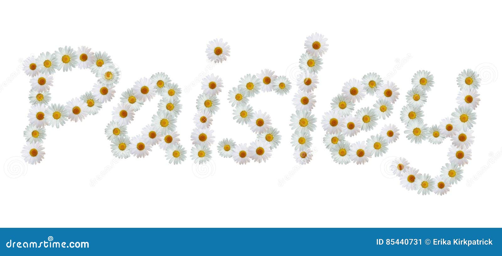 Daisy Name Paisley stock illustrationer. Illustration av natur - 85440731