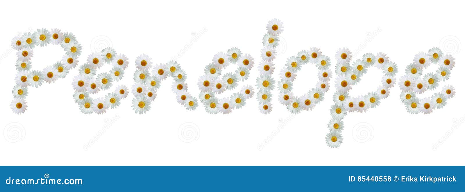 Name Penelope In Various Retro Graphic Design Elements, Set Of Vector ...