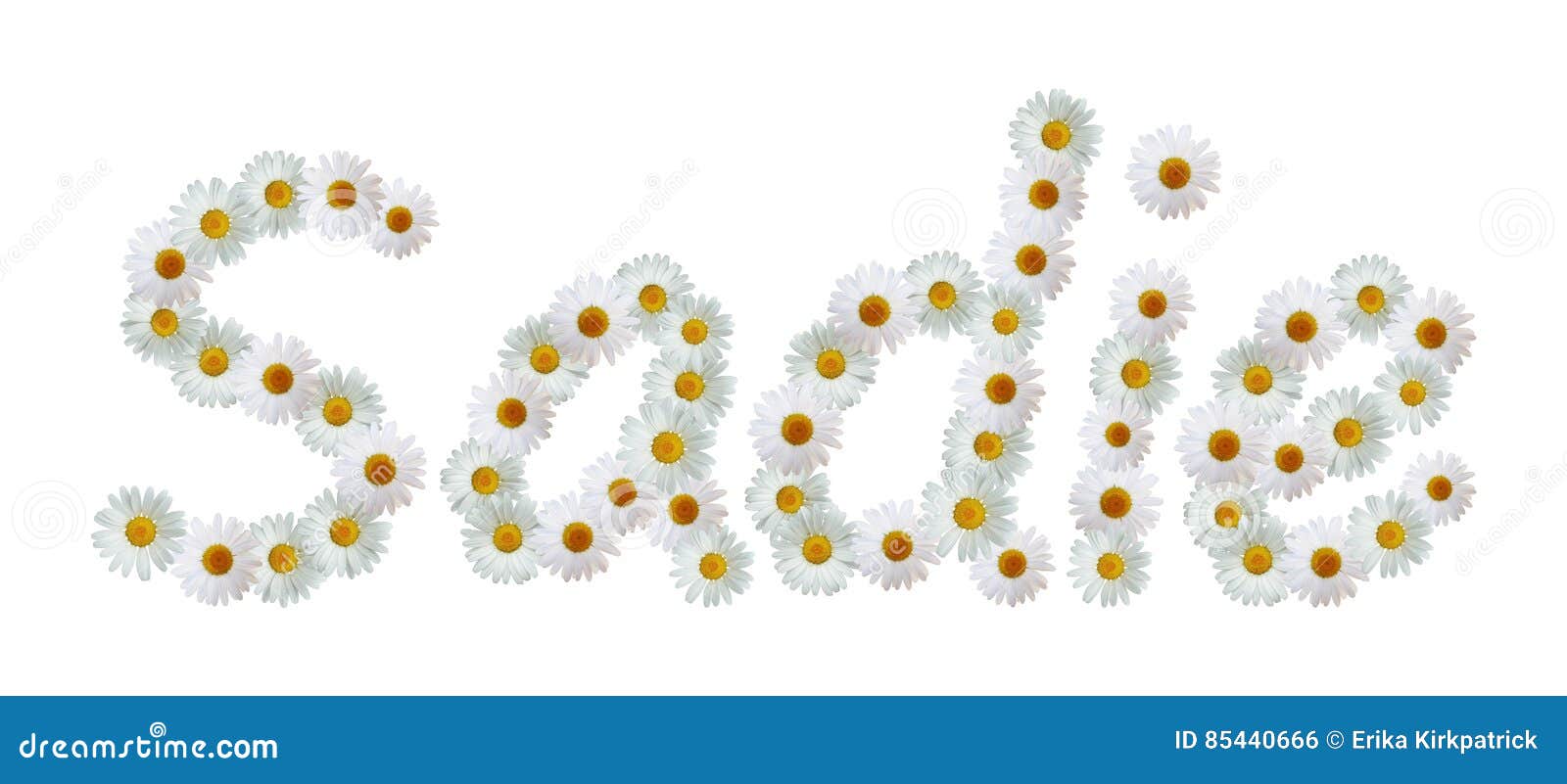 Daisy Name Sadie stock illustration. Illustration of letter - 85440666
