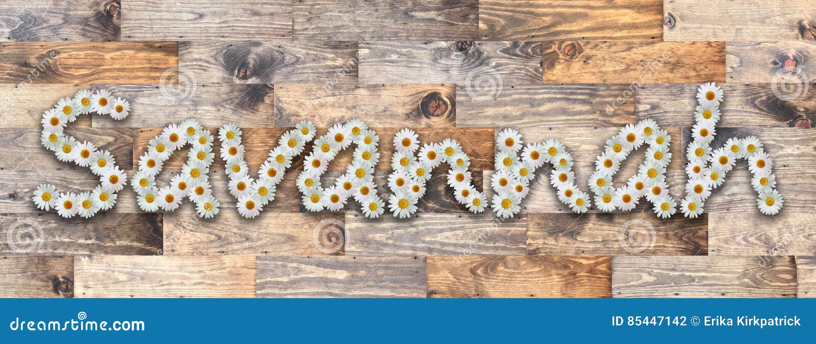 Daisy Name Savannah Wood Background Stock de ilustración - Ilustración ...