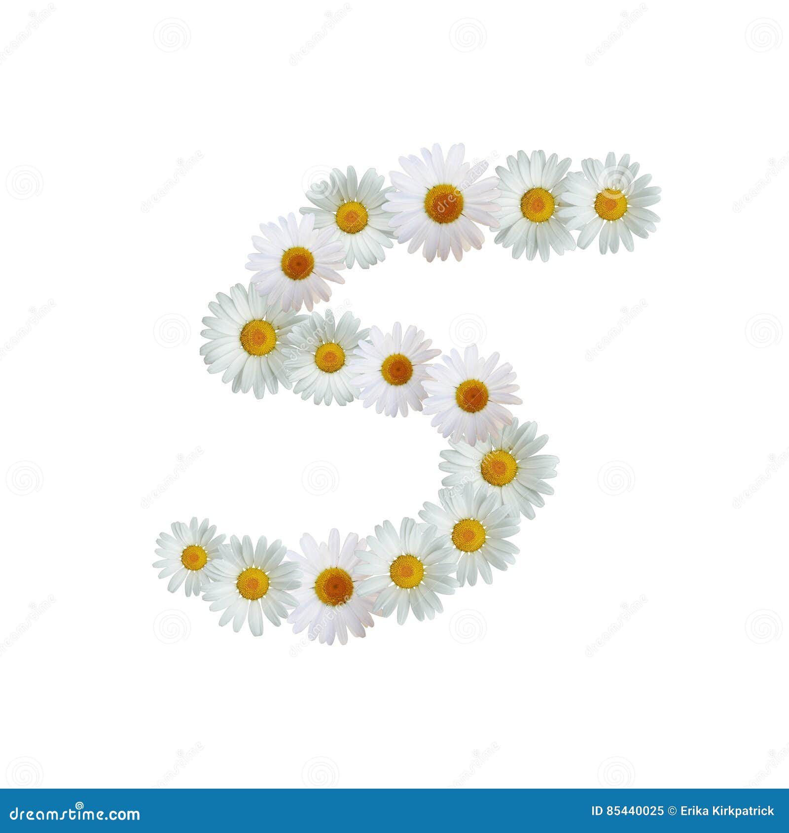 Daisy Number Five stock illustration. Illustration of daisy - 85440025