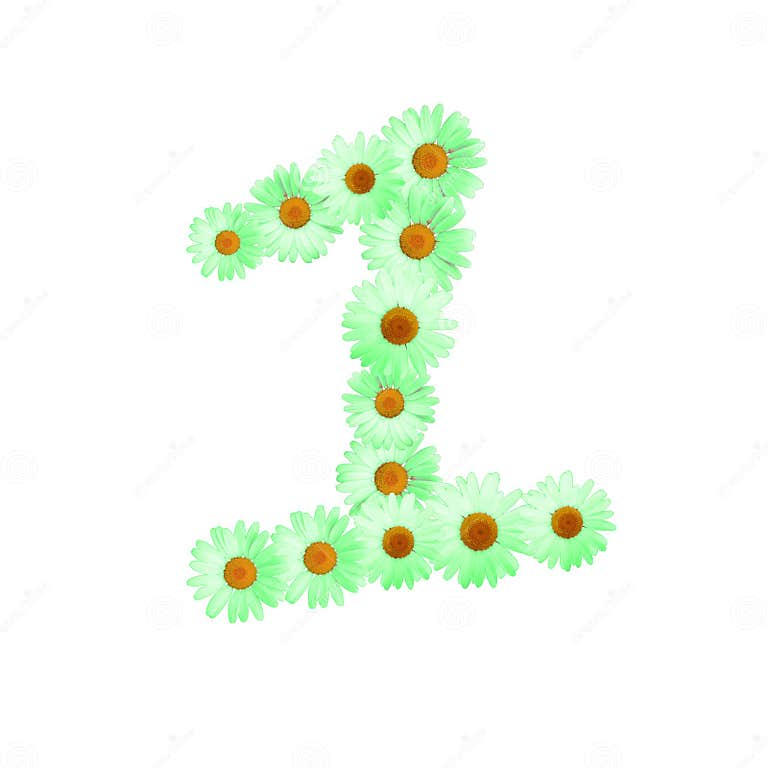 Daisy Number One verde ilustração stock. Ilustração de texto - 85439833