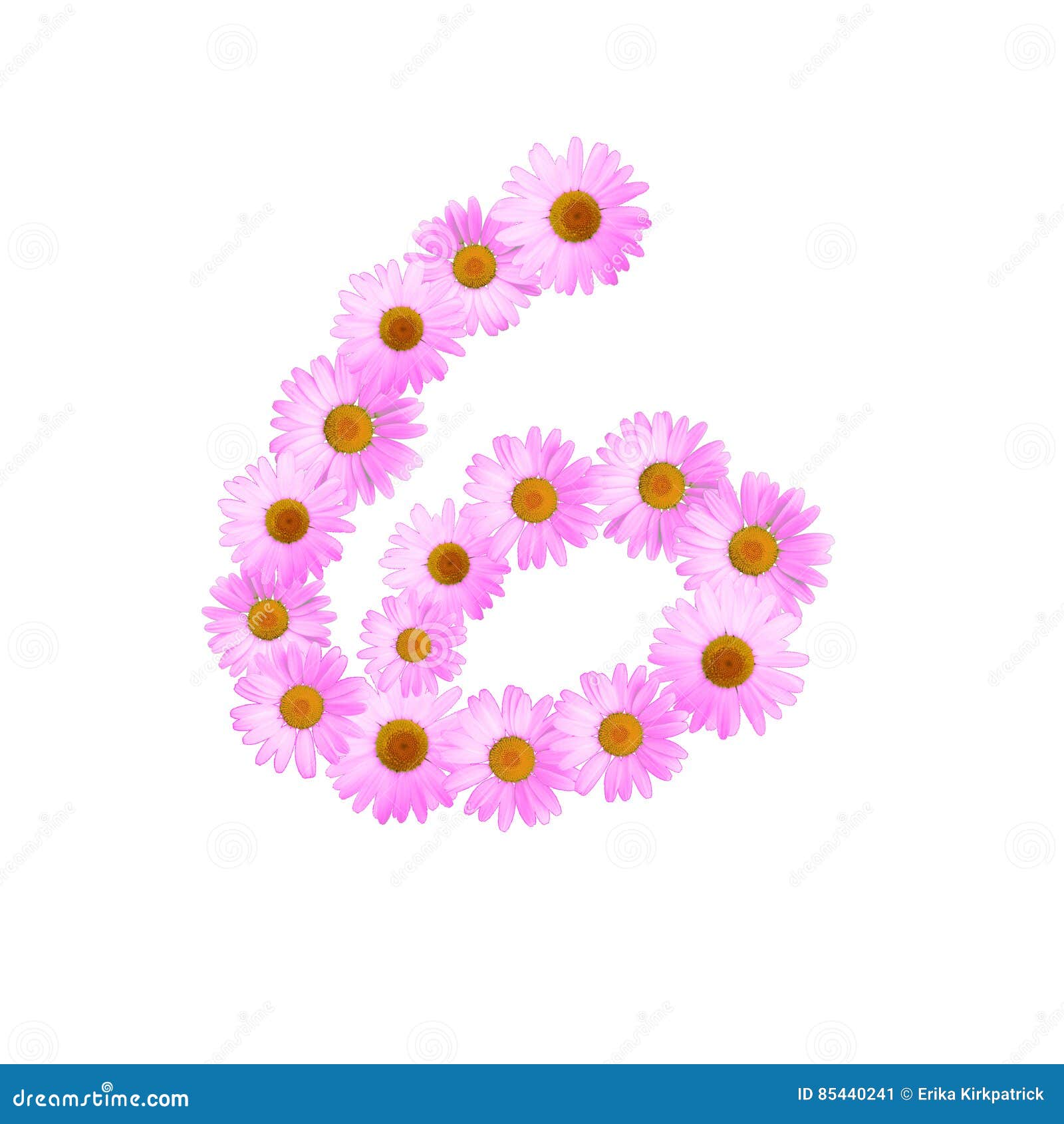 Daisy Number Six Cor-de-rosa Ilustração Stock - Ilustração de folha ...