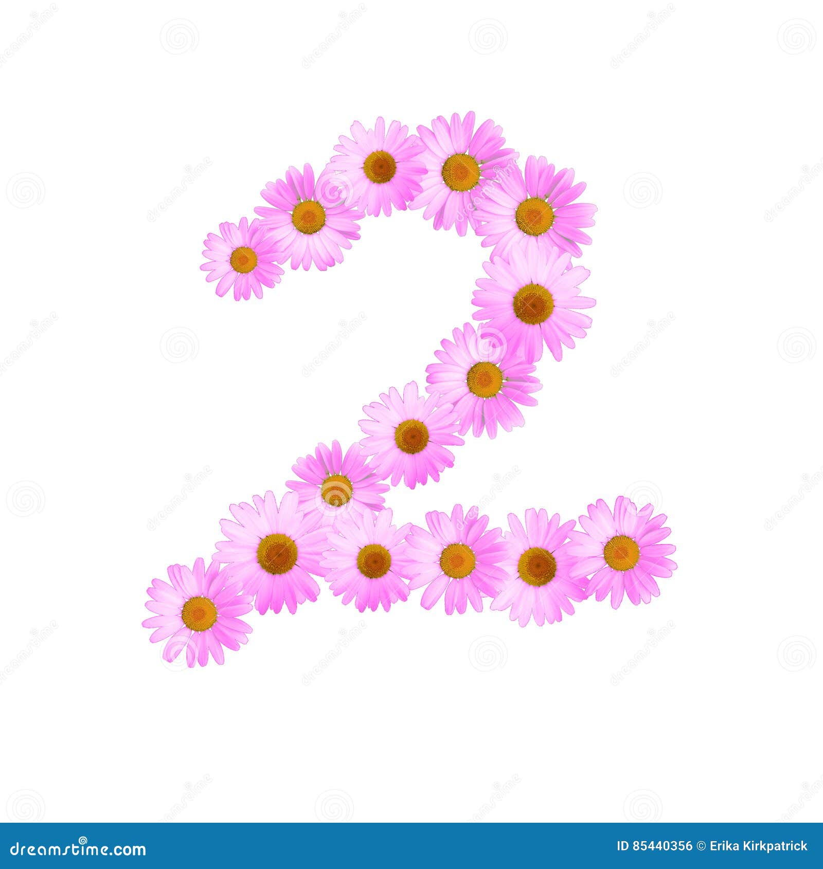 Daisy Number Two Cor-de-rosa Ilustração Stock - Ilustração de planta ...