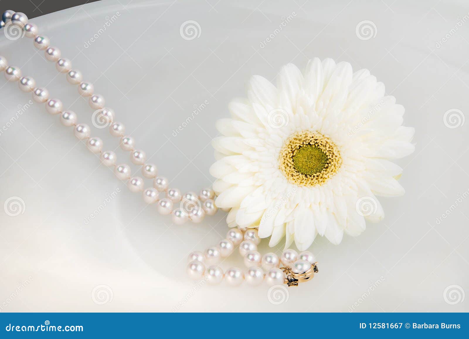 Daisy and Pearls stock image. Image of luxury, jewelery - 12581667
