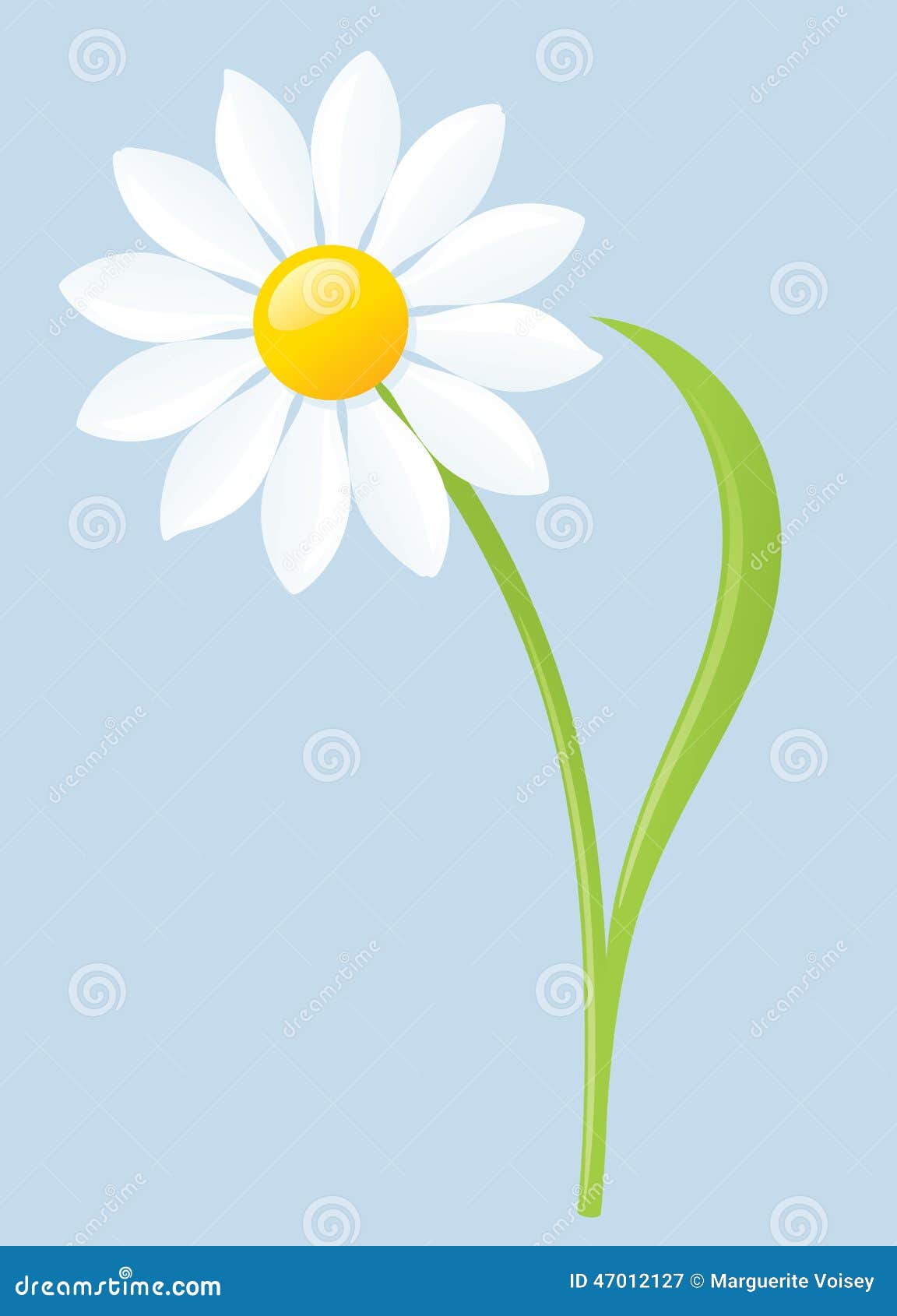 Daisy stock vector. Illustration of daisy, gerbera, white - 47012127