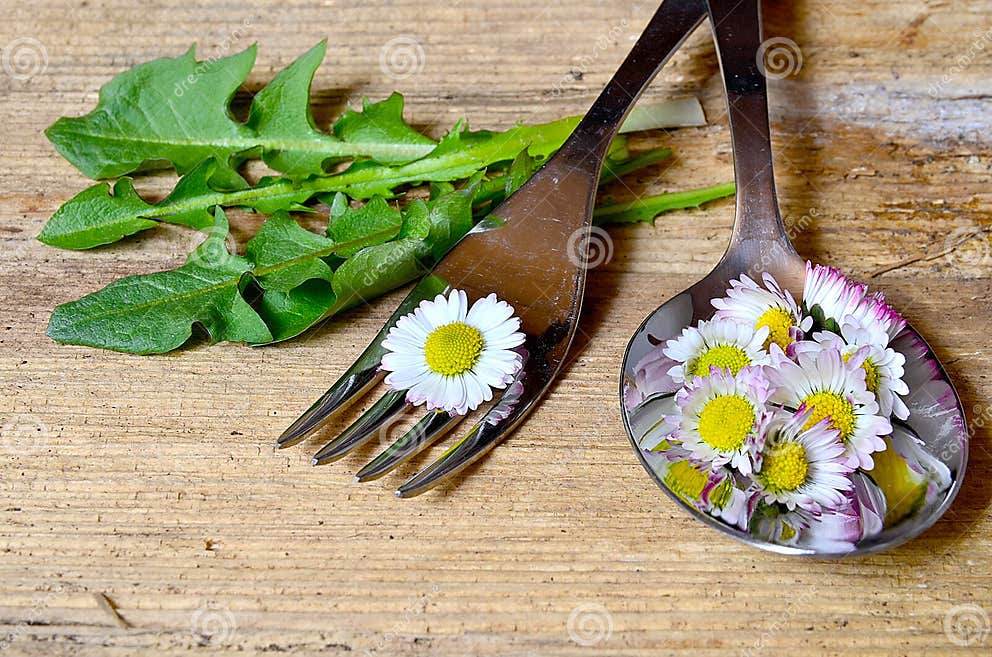 Daisy Spring on a fork stock image. Image of herbs, petals - 39224625