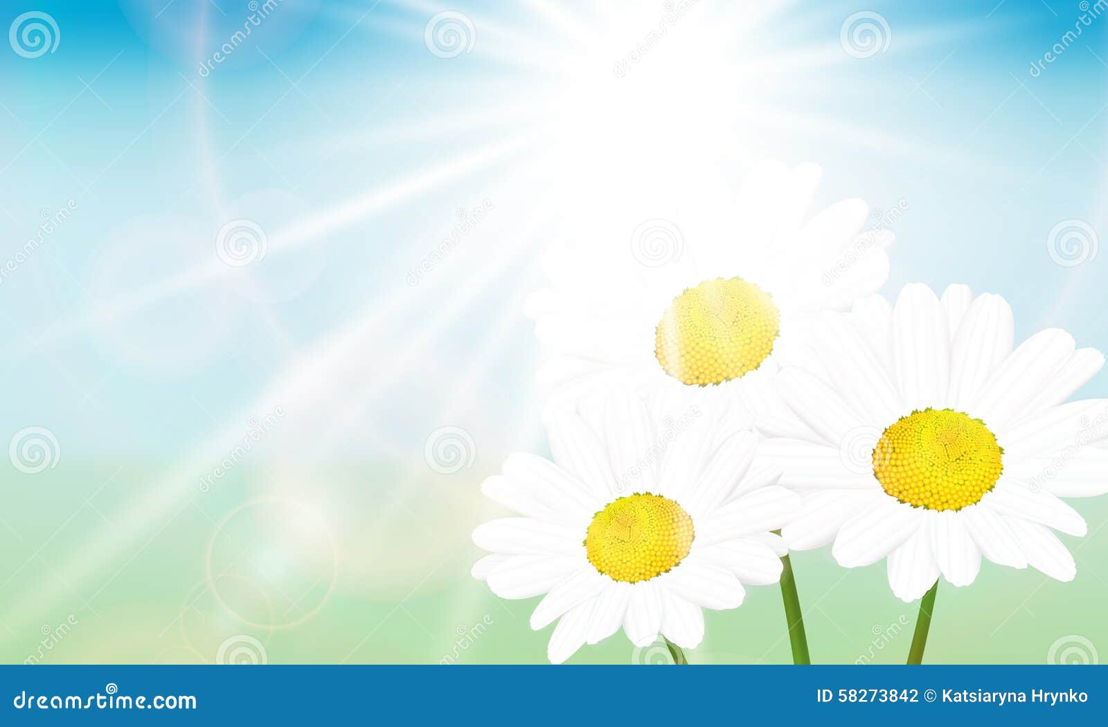 Daisy and the sun stock vector. Illustration of orange - 58273842