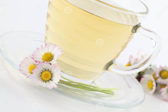 Daisy tea stock image. Image of ingredient, daisy, dieting - 14177957