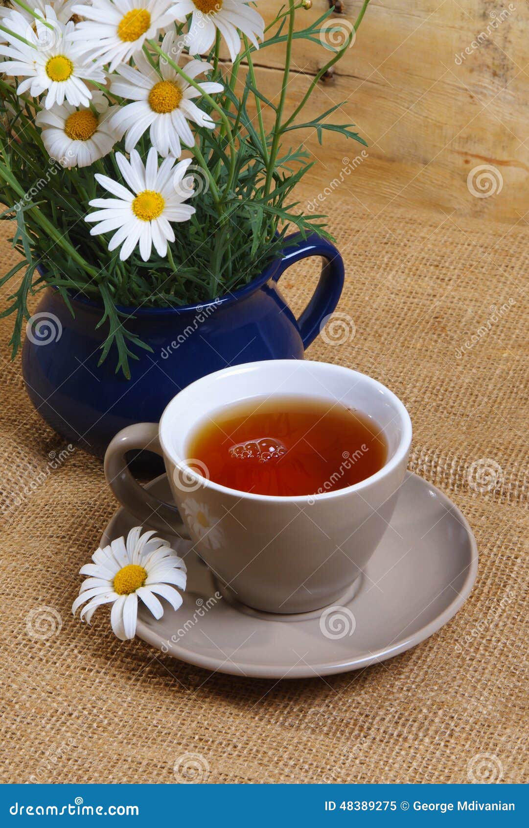 Daisy tea stock image. Image of concept, mint, relaxation - 48389275