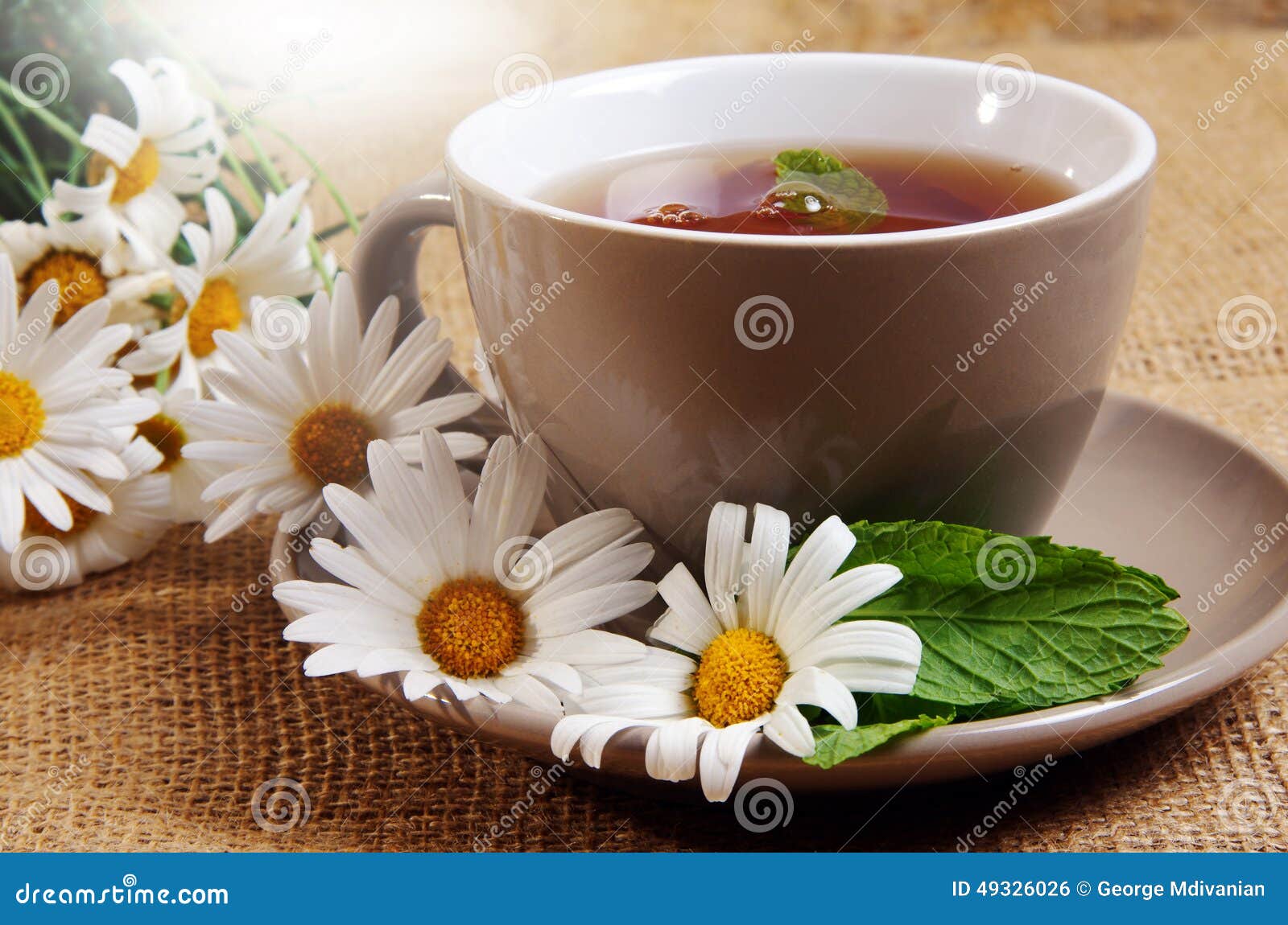 Daisy tea stock photo. Image of drink, flower, mint, relaxation - 49326026