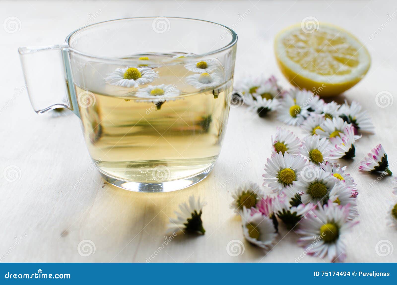 Daisy tea stock photo. Image of cough, bellis, blossom - 75174494