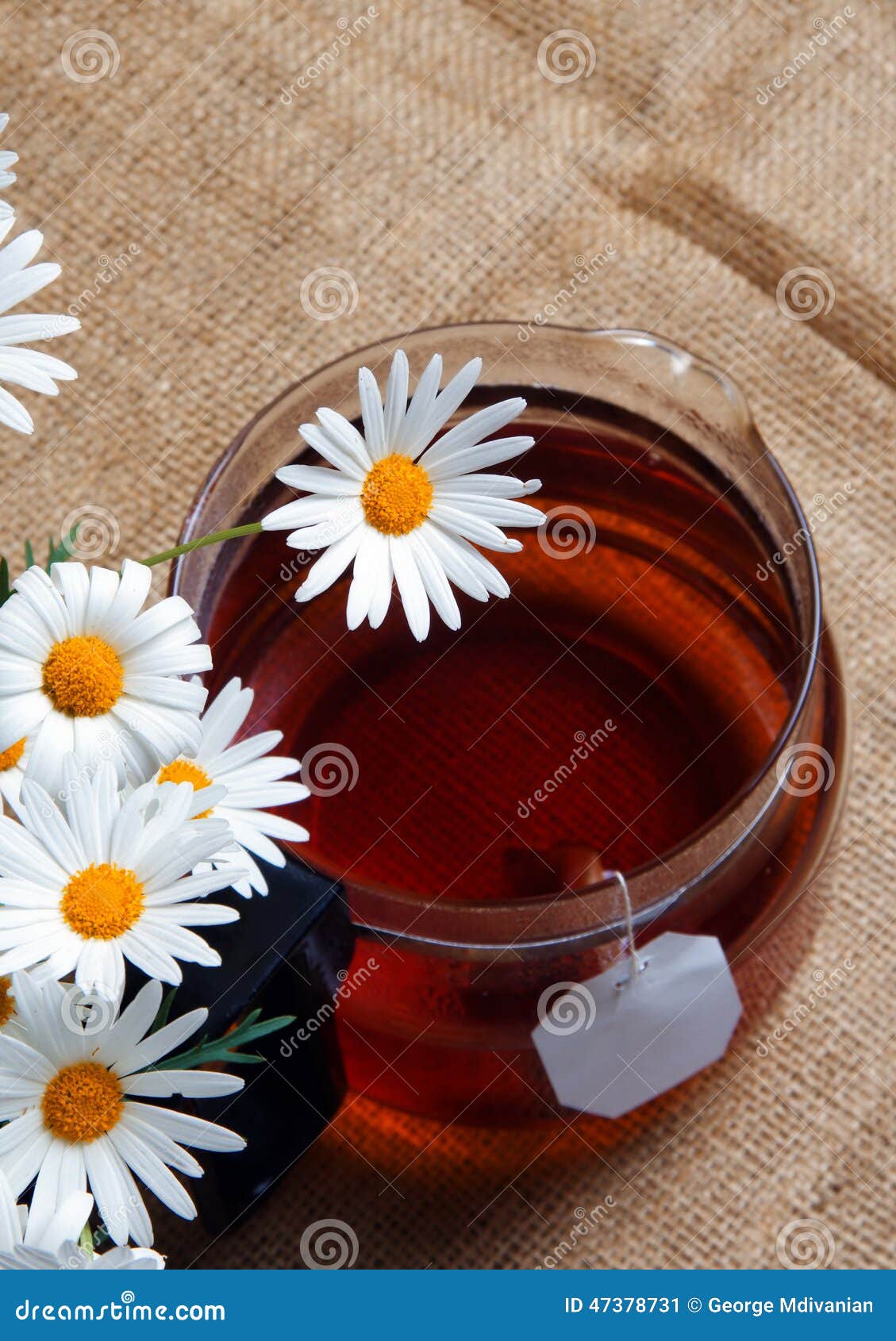 Daisy tea stock image. Image of herb, nature, closeup - 47378731