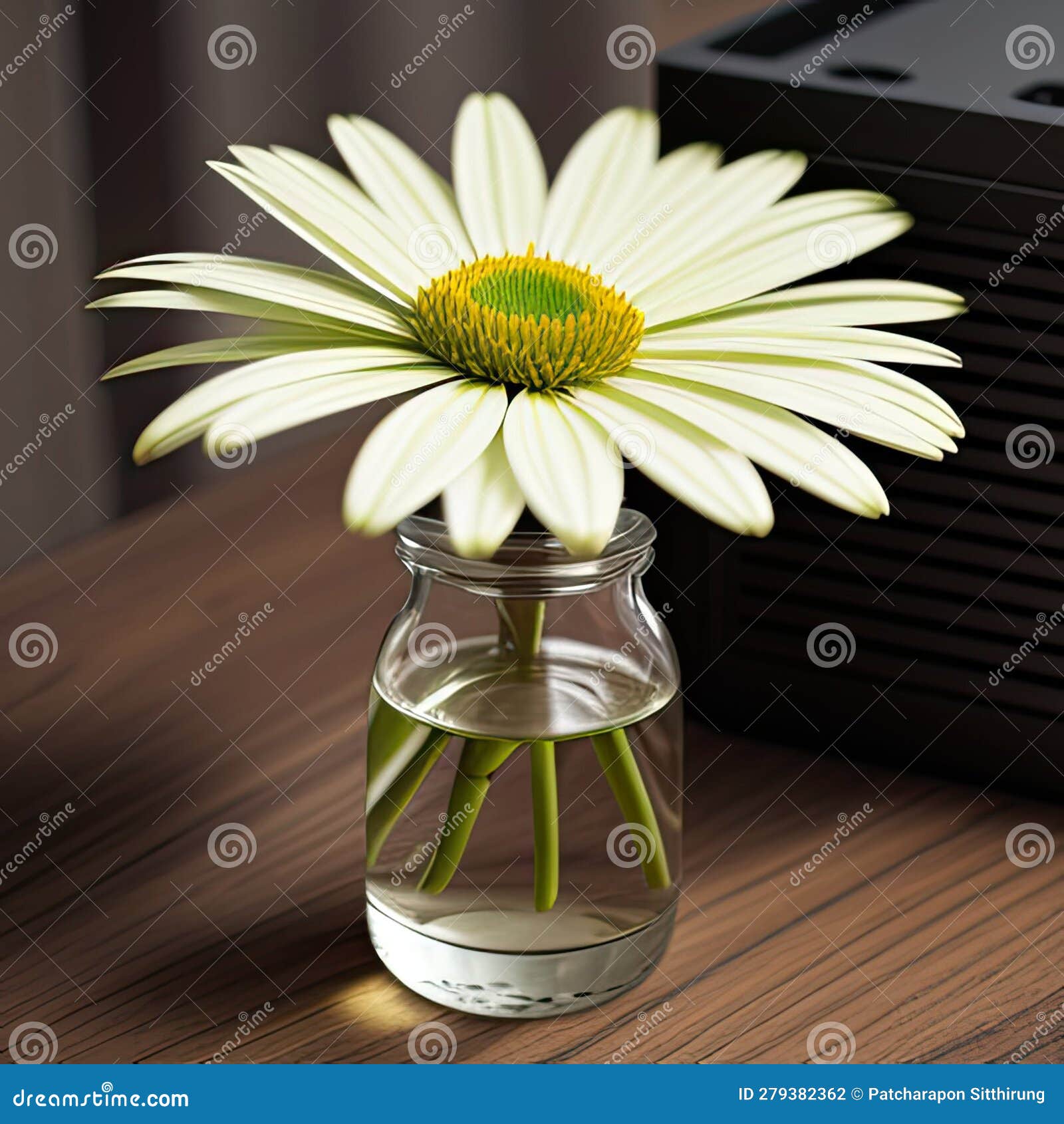 Daisy in a Vase on the Table Stock Photo - Image of petal, centrepiece ...