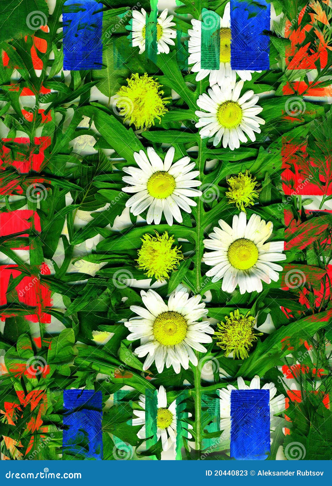 Daisy Wheels and Union and Leaves and Flowers and Stock Illustration ...