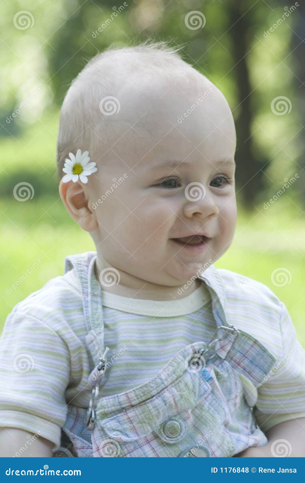 Daisybaby stock photo. Image of flowers, baby, blue, children - 1176848