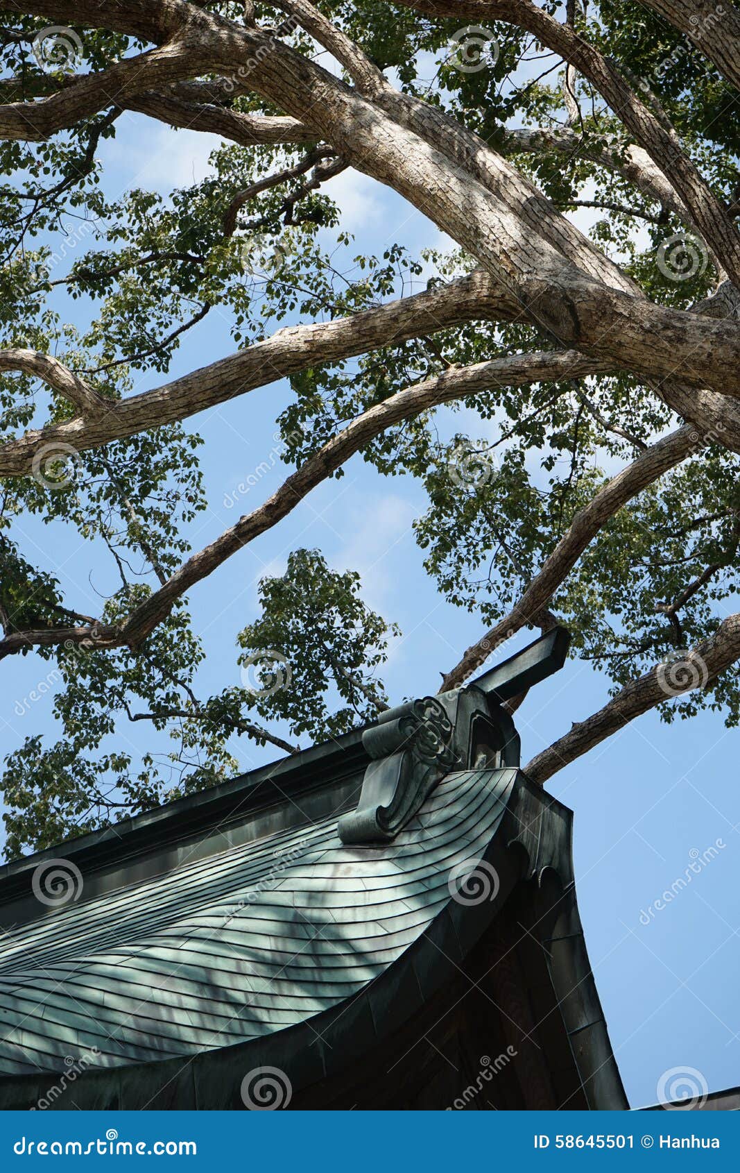 Daken En Oude Bomen Japanse Architectuur Stock Afbeelding - Image of ...