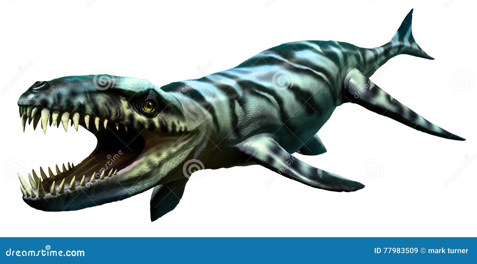 Dakosaurus illustrazione di stock. Illustrazione di grande - 77983509