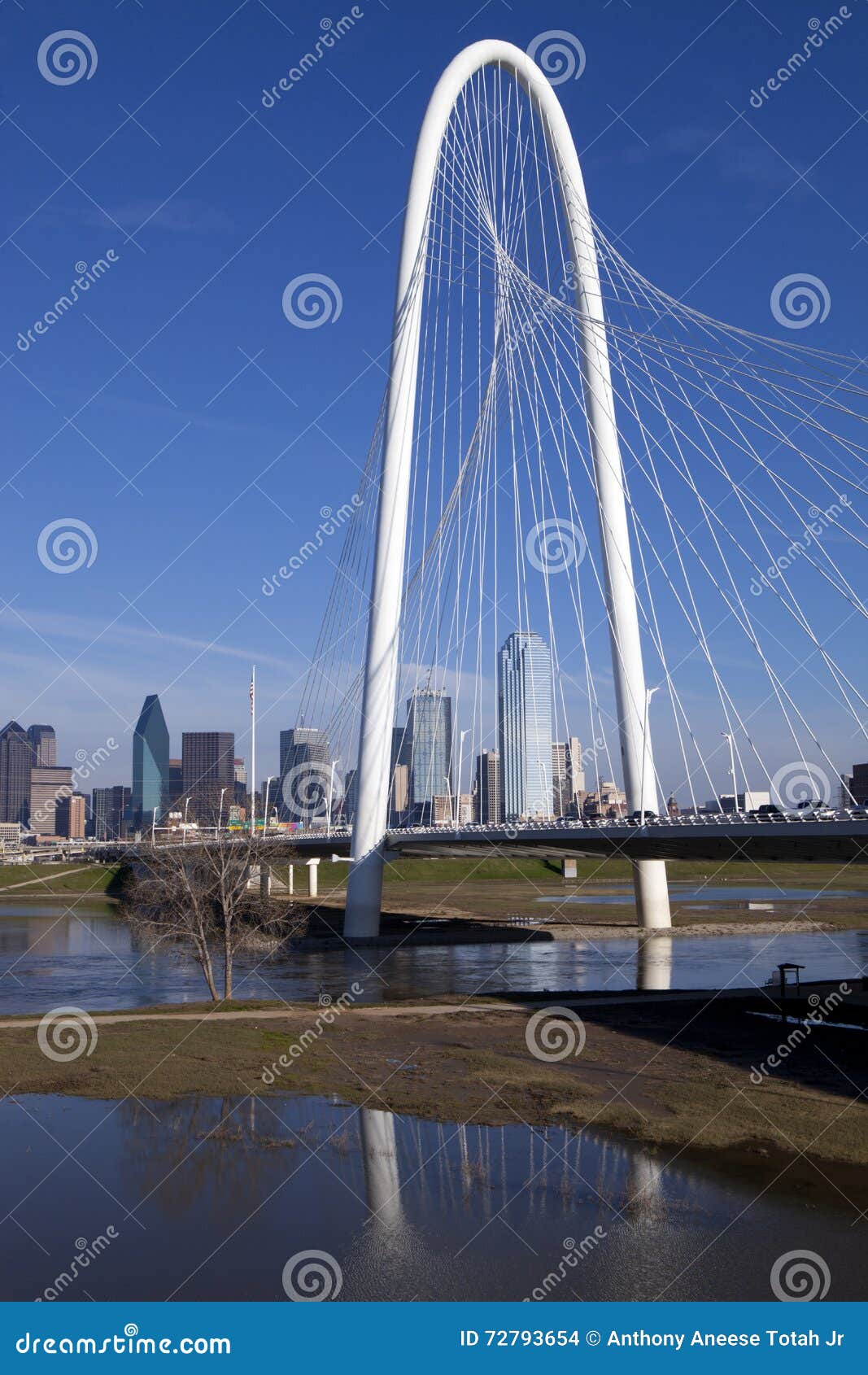 Dallas Bridge image stock éditorial. Image of prélèvement - 72793654