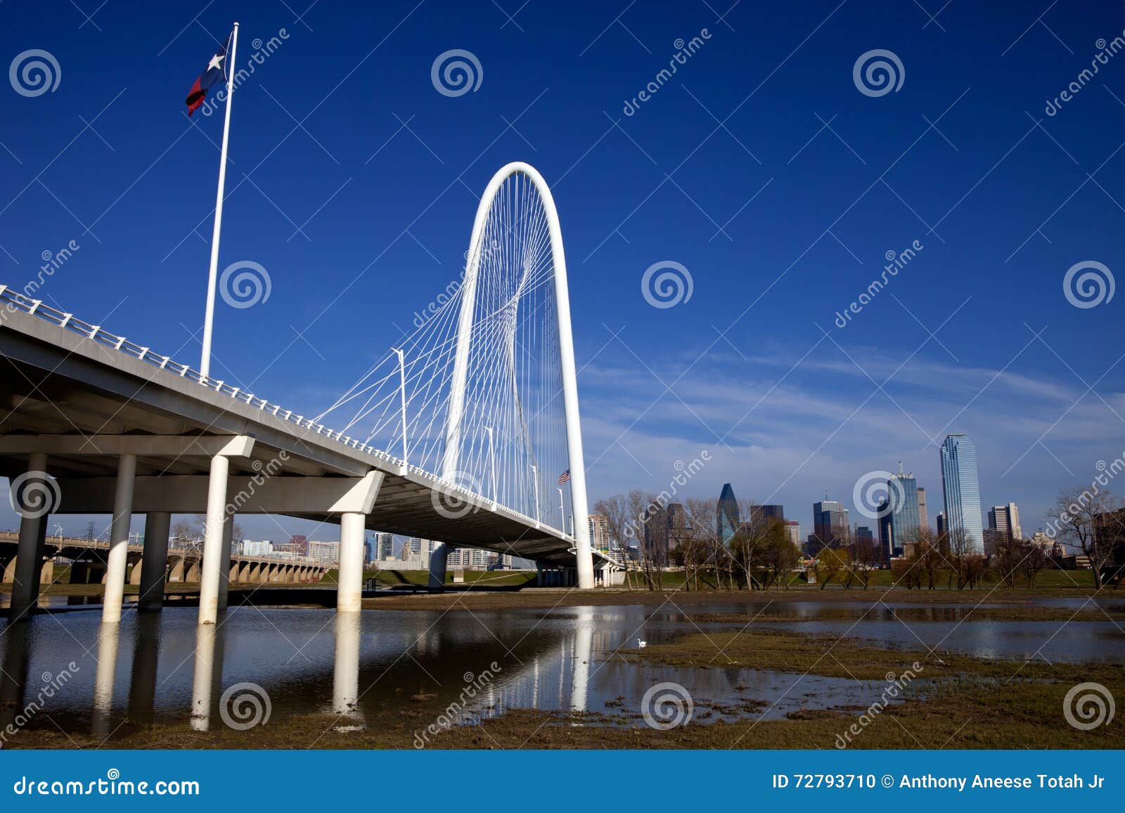 Dallas Bridge image éditorial. Image du constructions - 72793710