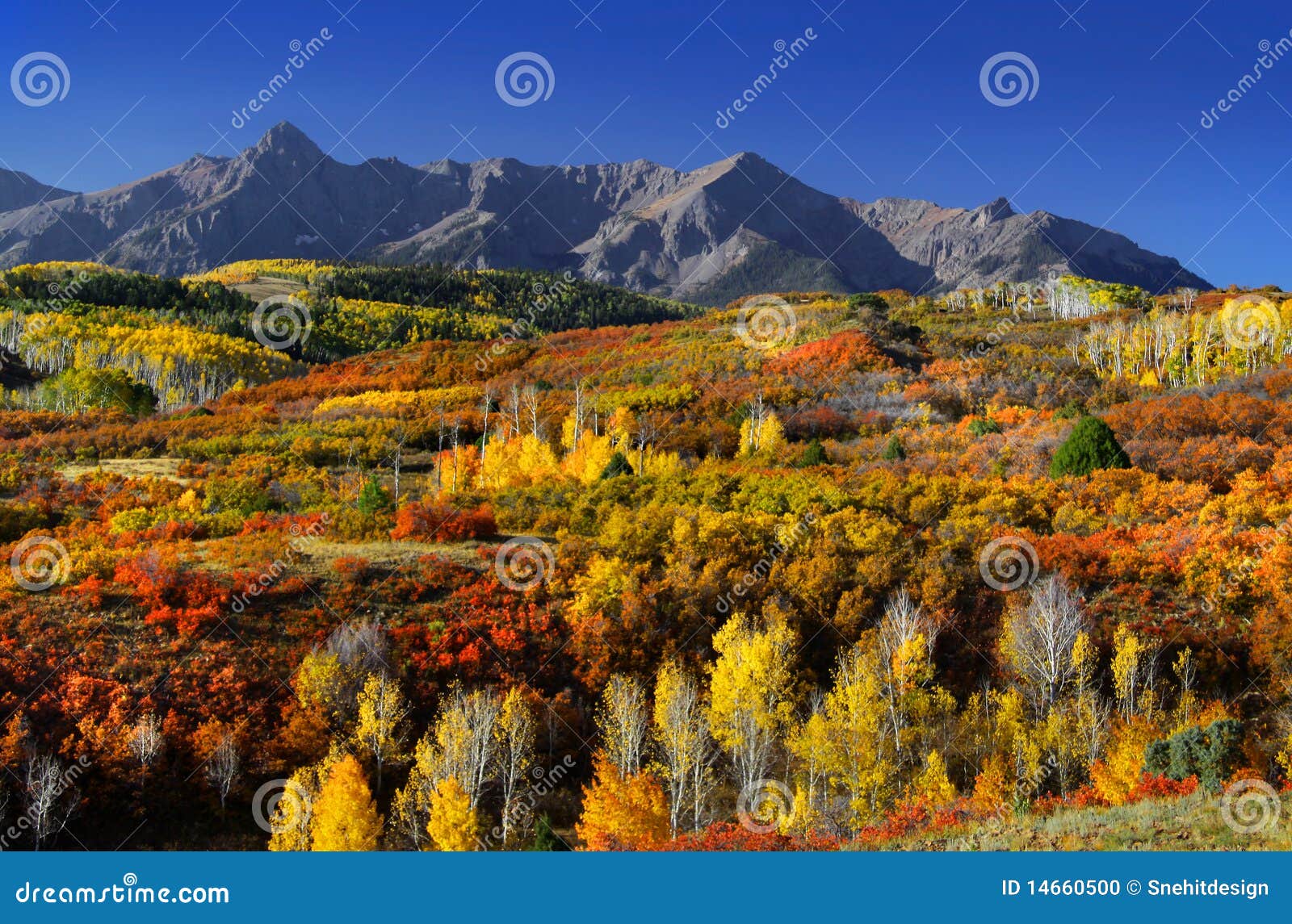 Dallas divide stock photo. Image of mountains, juan, seasons - 14660500