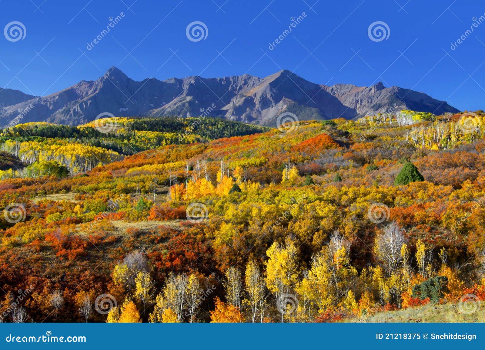Dallas divide stock image. Image of yellow, dallas, mountains - 21218375