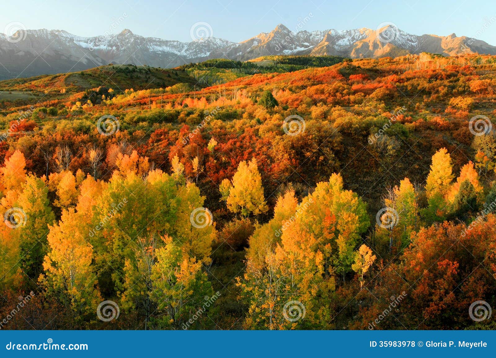 Dallas Divide foto de archivo. Imagen de giro, colorido - 35983978