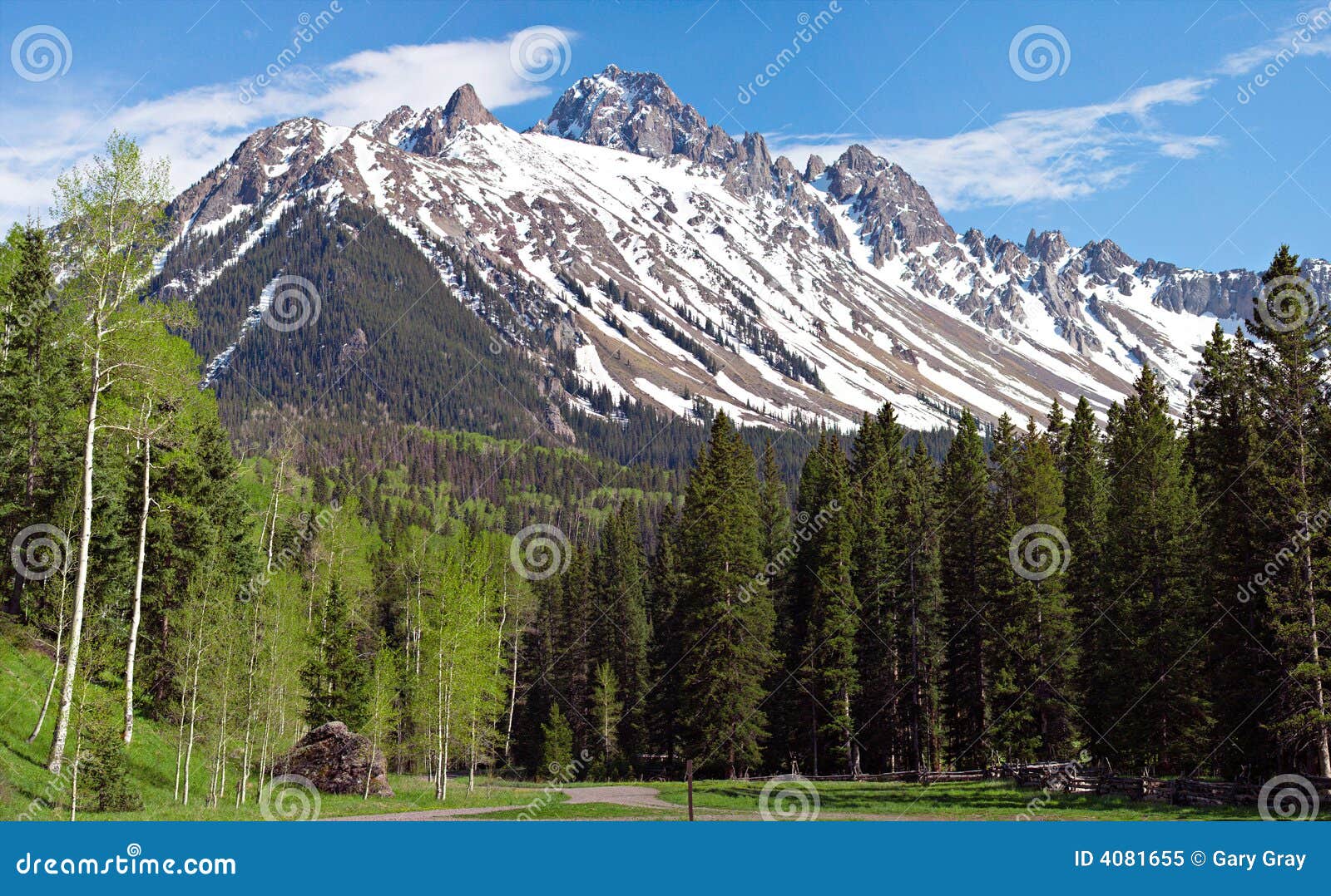 Dallas Divide stock image. Image of tree, ouray, juan - 4081655