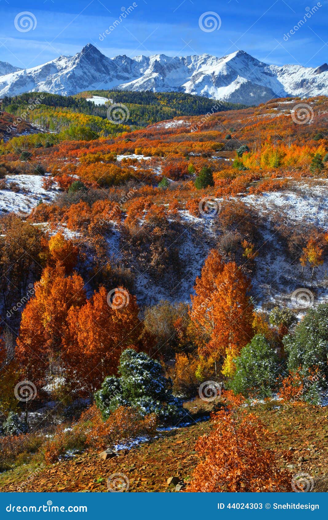 Dallas divide landscape stock image. Image of fall, nature - 44024303