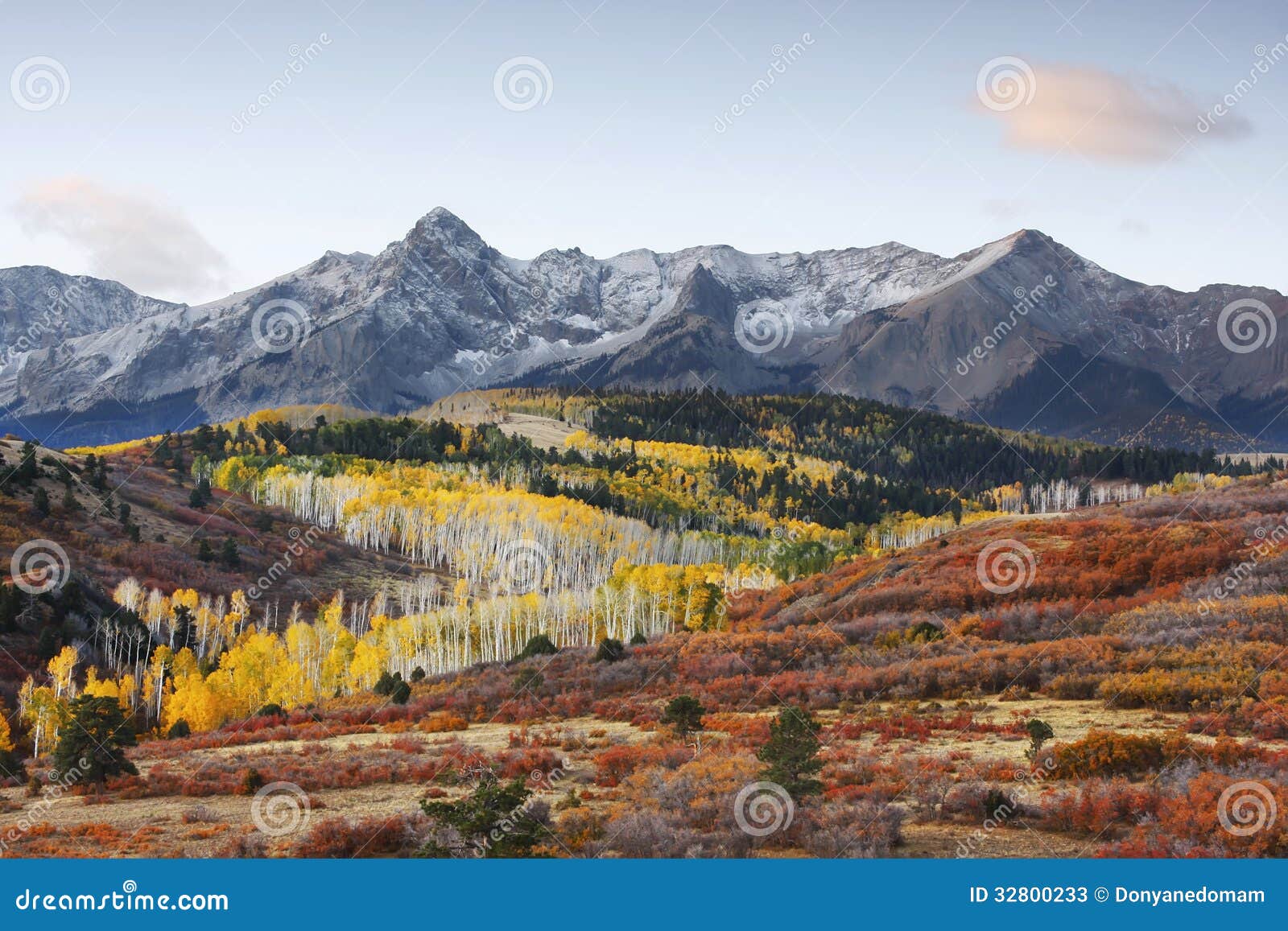 Dallas Divide, Uncompahgre-staatlicher Wald, Colorado Stockbild - Bild ...