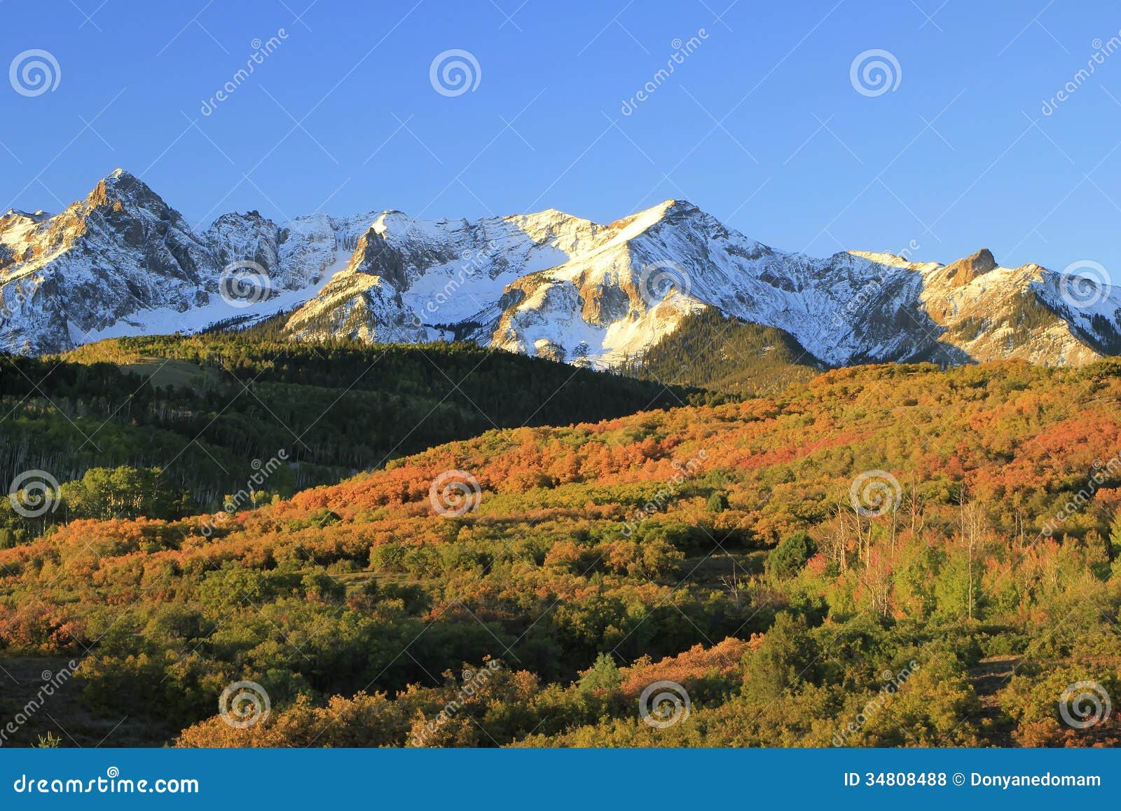 Dallas Divide, Uncompahgre-staatlicher Wald, Colorado Stockfoto - Bild ...